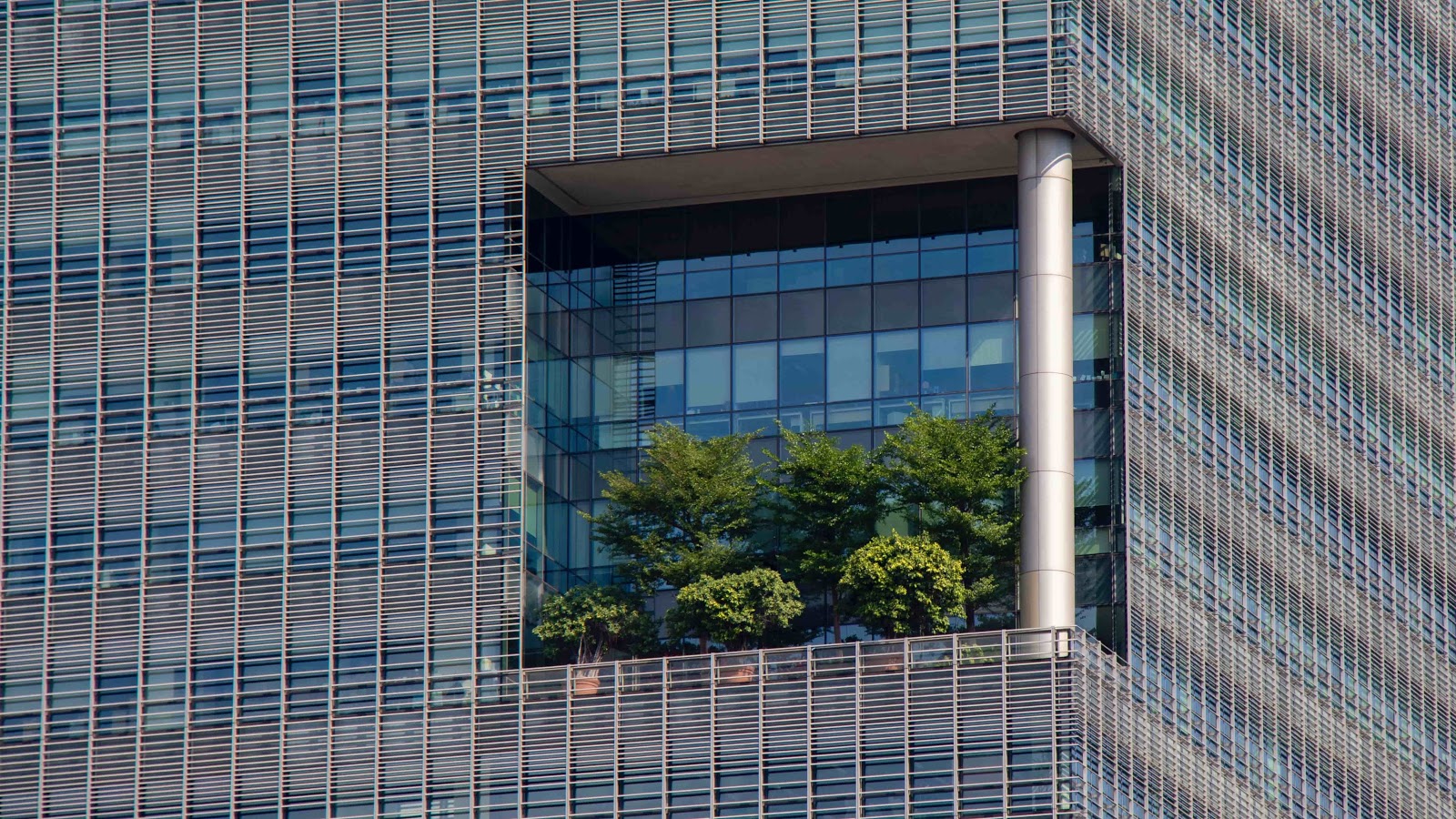 Create Impact | Digital Window Graphics